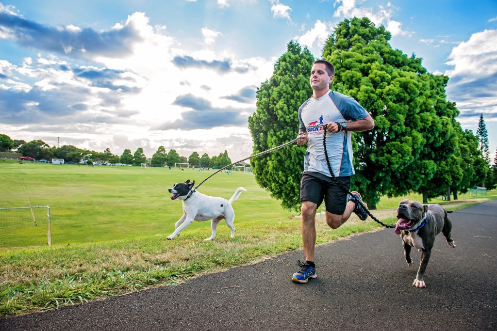 ¿Por qué está bueno salir a correr con tu perro? | Sportsfacilities